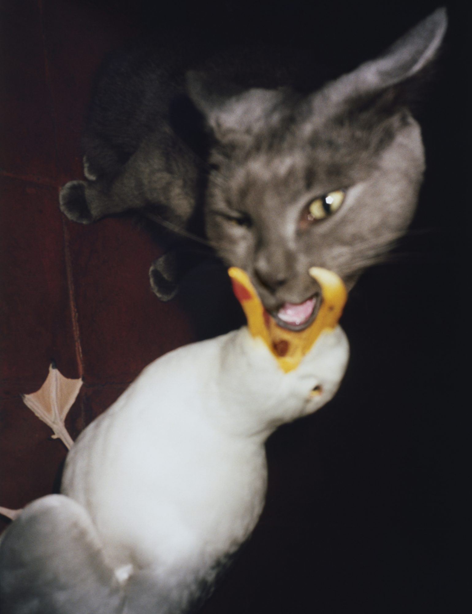 Overview – Frank Lebon – DoBeDo Represents