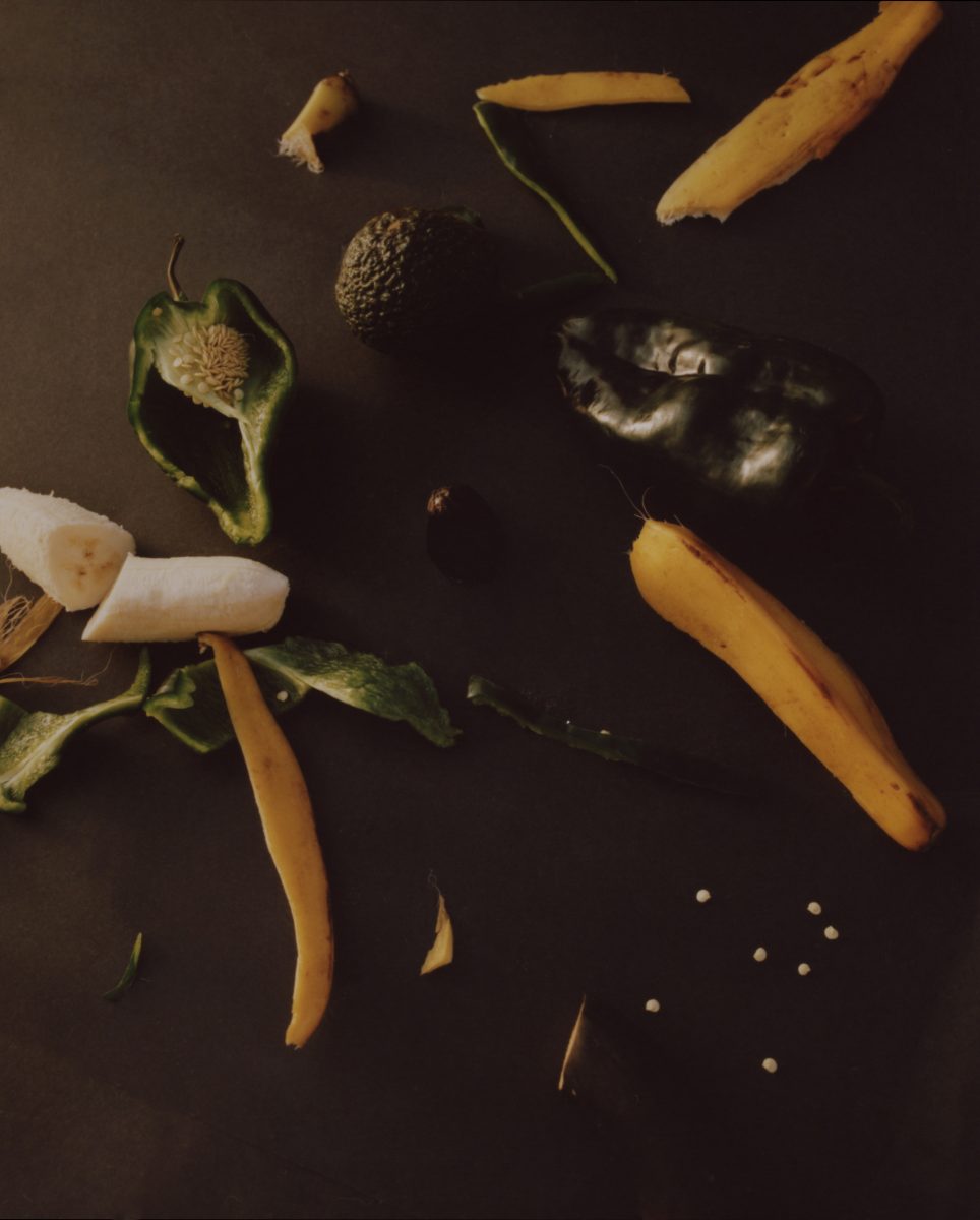 Artists – DoBeDo Represents