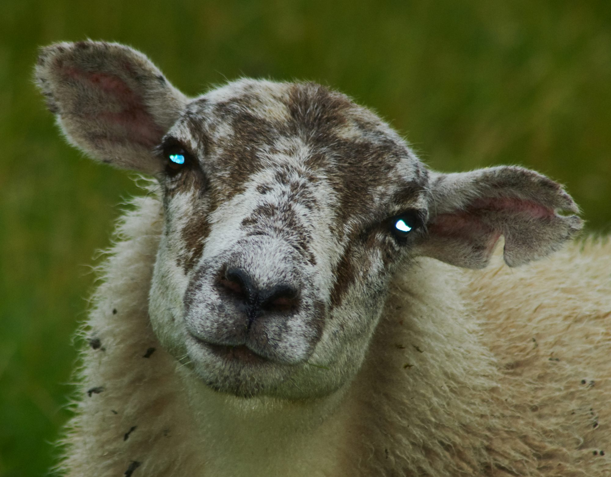 Overview – Johnny Dufort – DoBeDo Represents