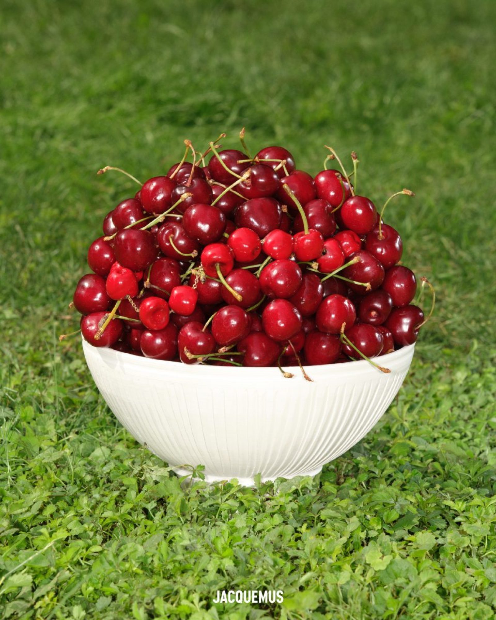 Overview – Johnny Dufort – DoBeDo Represents