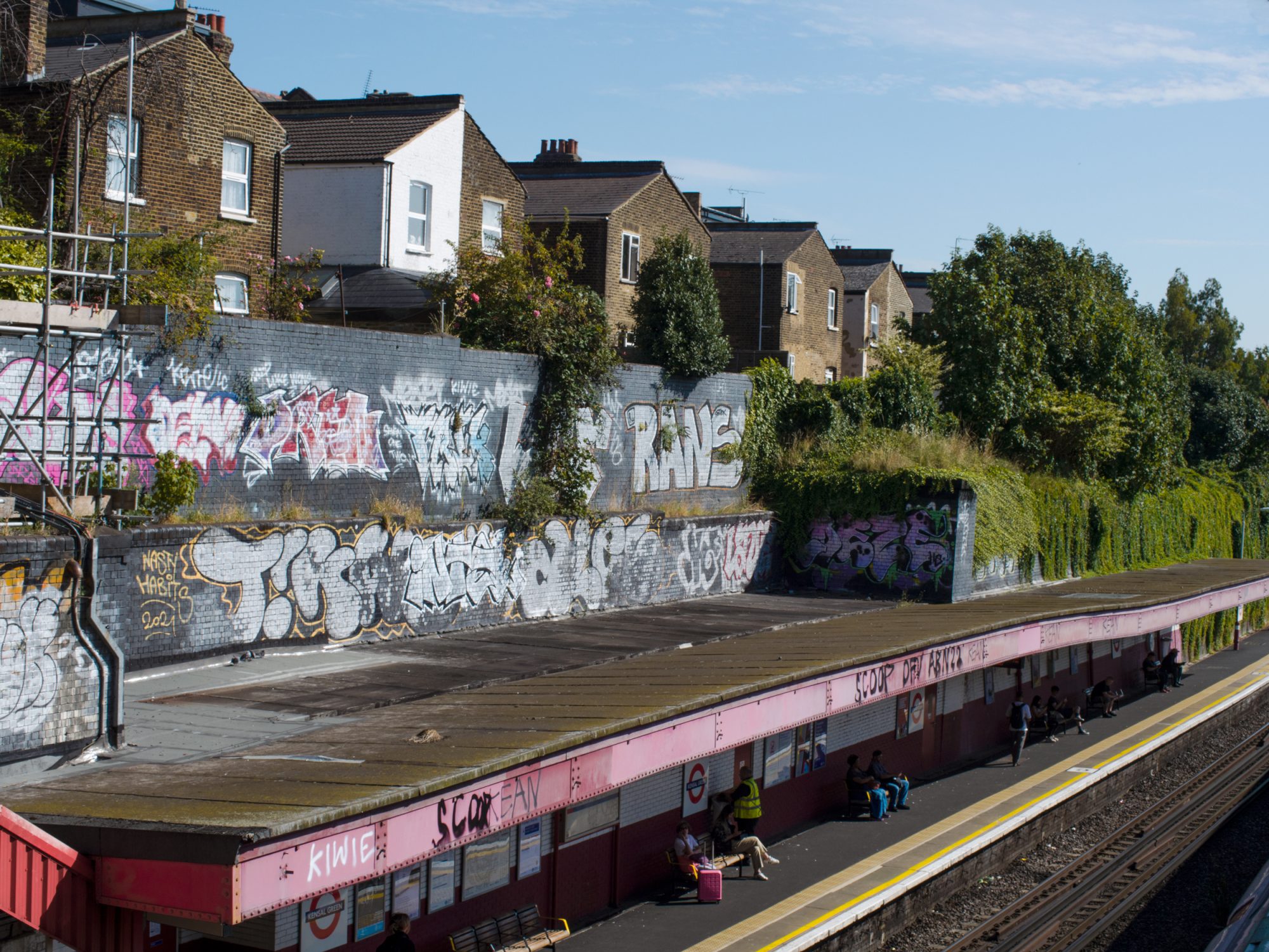 Nigel Shafran – Artists – DoBeDo Represents