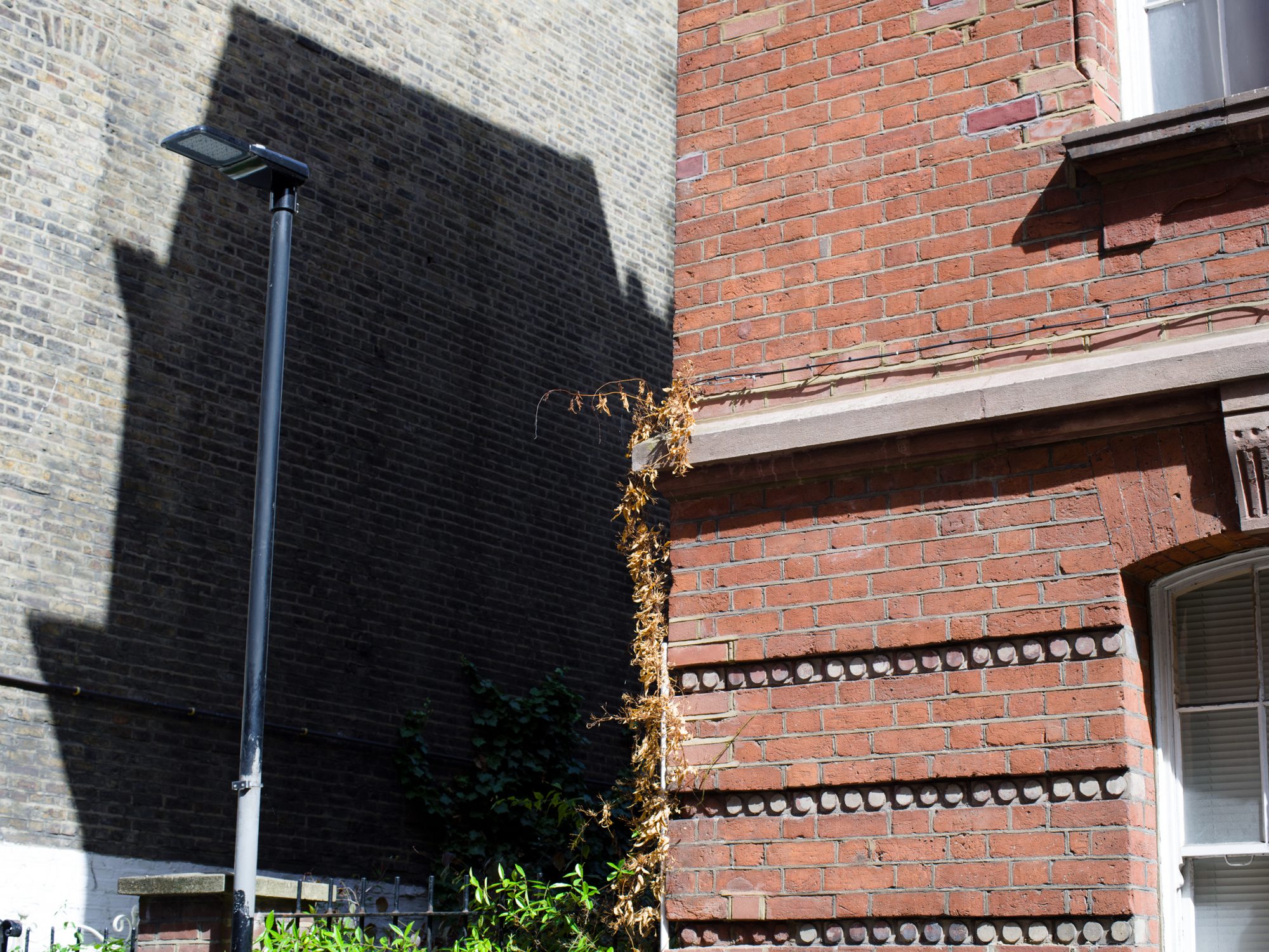 London, 5th September 2023, Photographed by Nigel Shafran for Jil ...