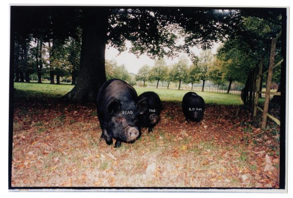 Frank Lebon – Artists – DoBeDo Represents