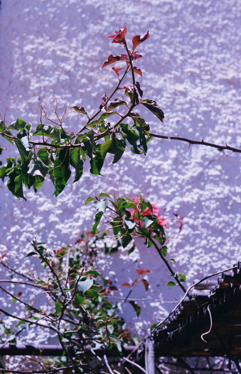 Photographs of HYLTON NEL’s studio in Capetown, for DIOR MEN’s SUMMER 2025 Documented BY HUGO ...