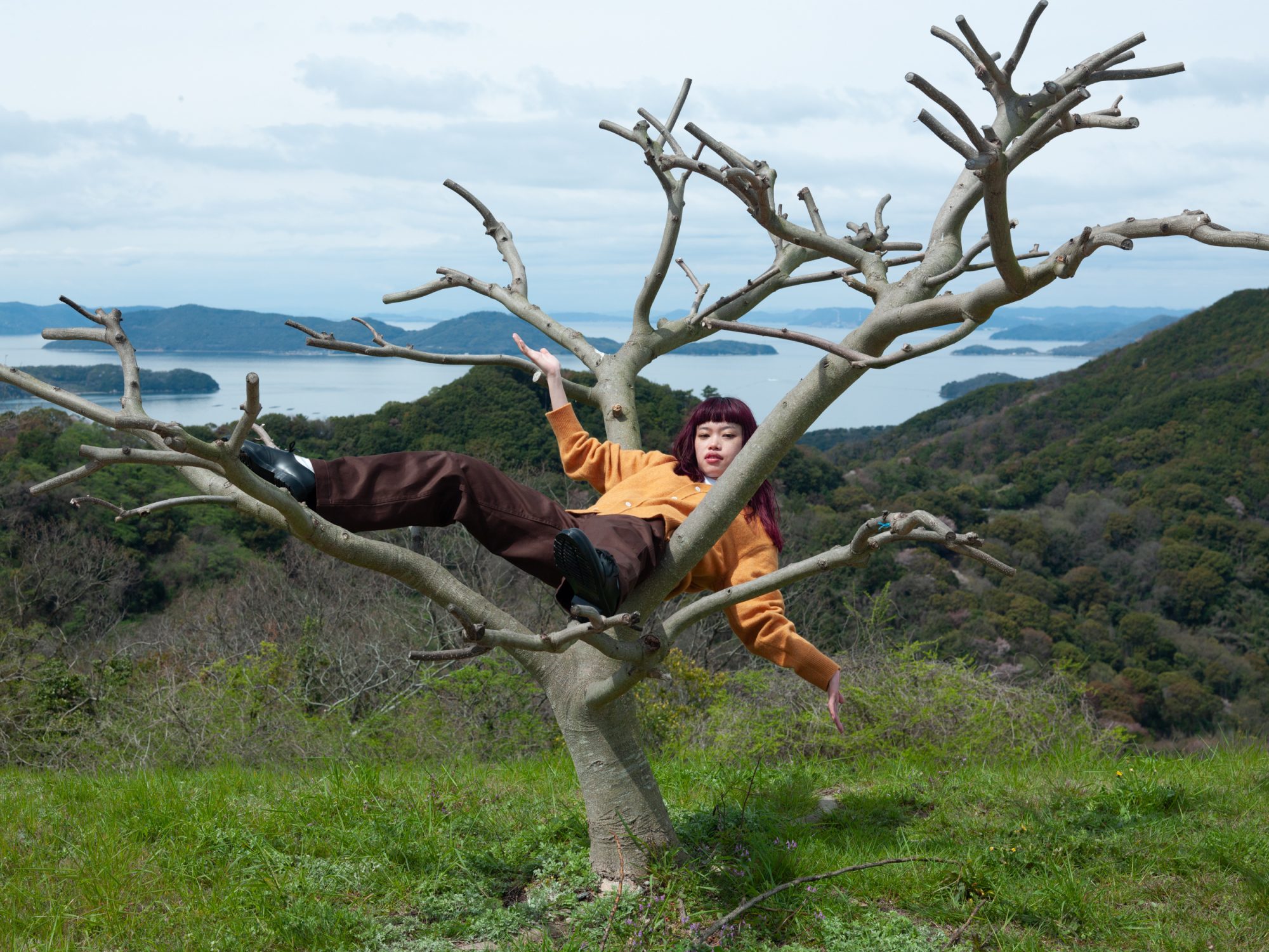 Nigel Shafran – Artists – DoBeDo Represents